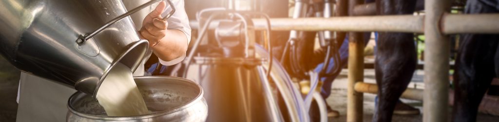 TINE & The Logic Factory | Enhancing Dairy Supply Chain Planning