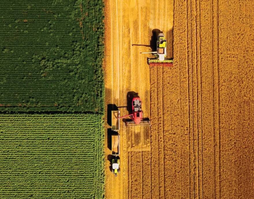 Boost Profitability in Agricultural Commodity Trading - The Logic Factory